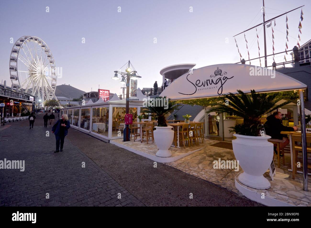 Sevruga fish hi-res stock photography and images - Alamy