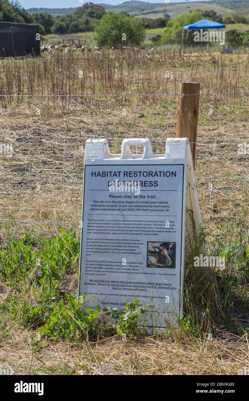 Fire prevention goats hi-res stock photography and images - Alamy