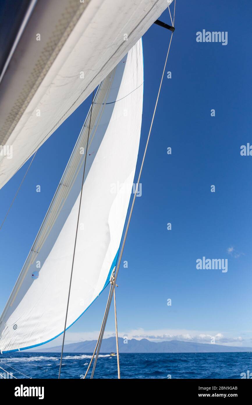 Tourist sailing boat in Maui Stock Photo - Alamy