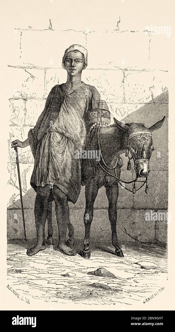 Donkey driver, Egypt, Africa. Old 19th century engraved illustration ...