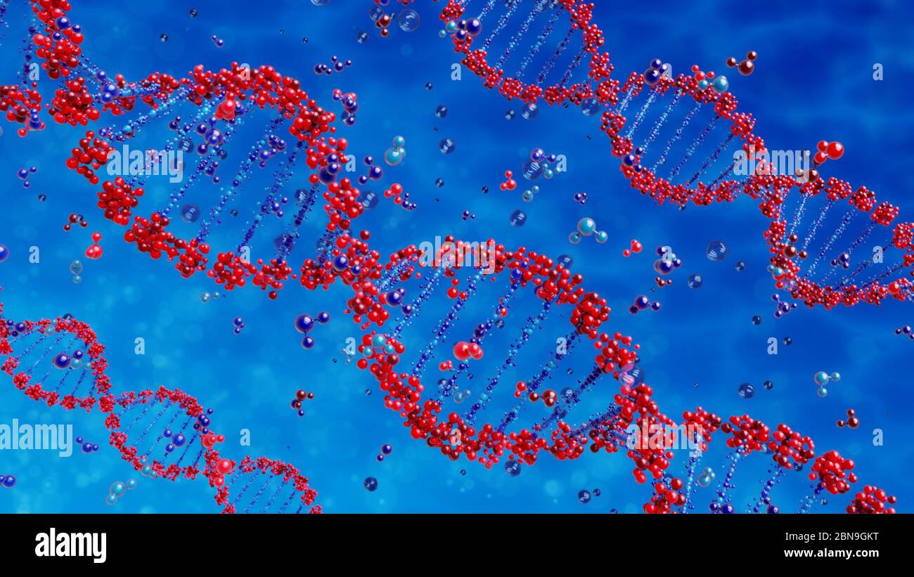 human dna chain. Genome structure. helix molecule in the body Stock ...