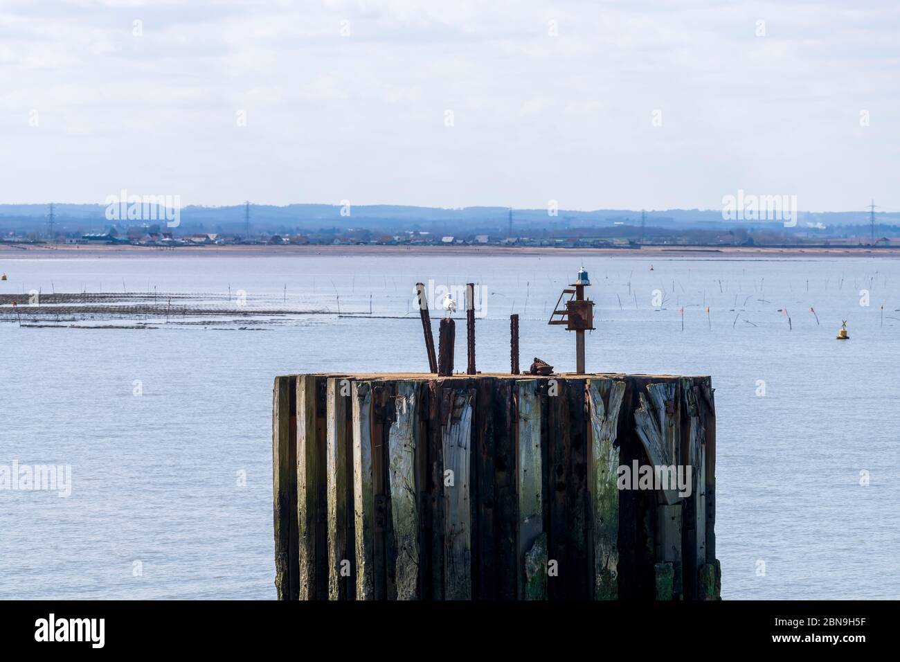 A view of pebble beach and seafront, Whitstable Seafront, Kent, UK ...