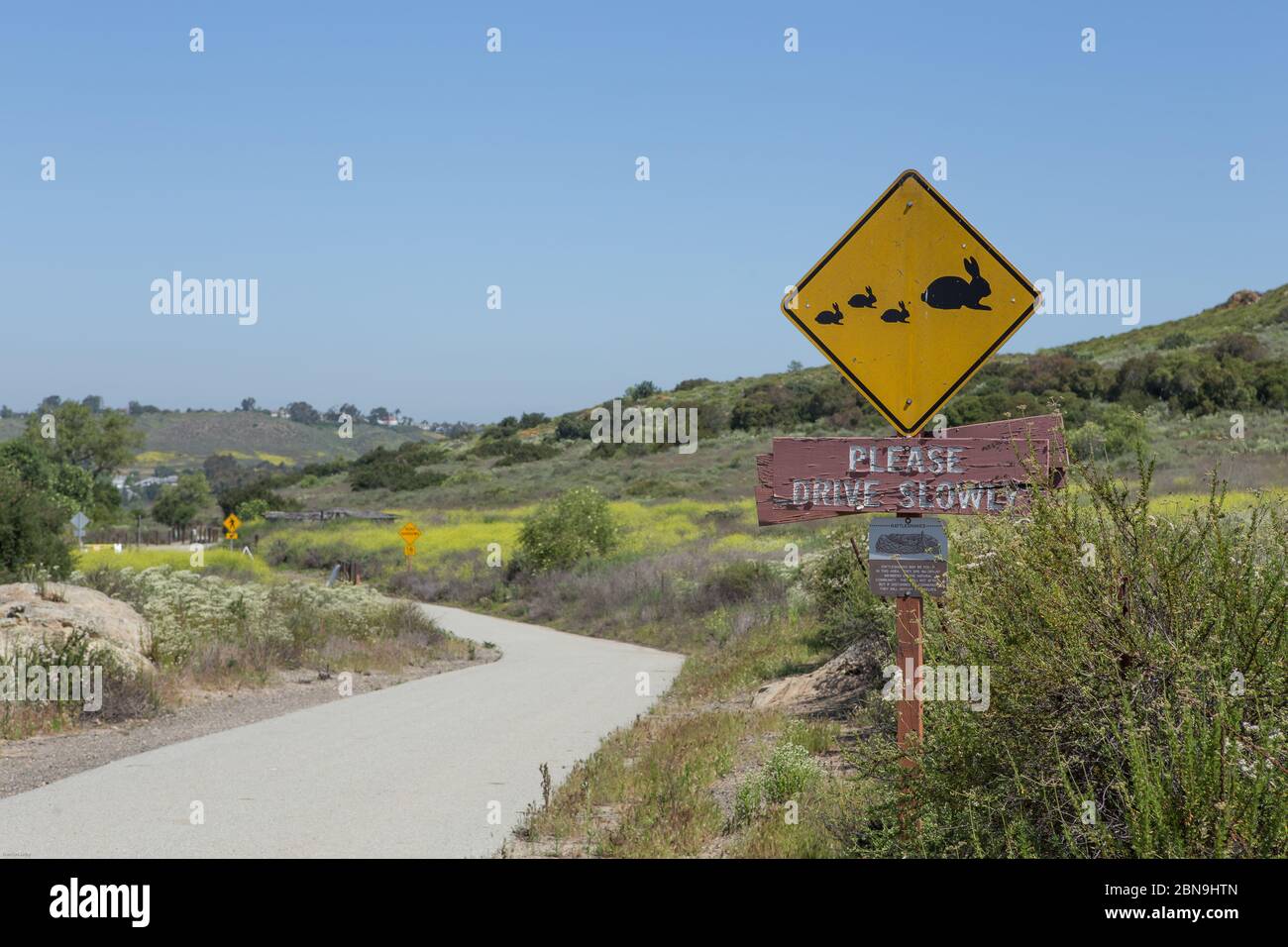 Yellow wildlife warning sign showing adult and baby rabbits crossing ...
