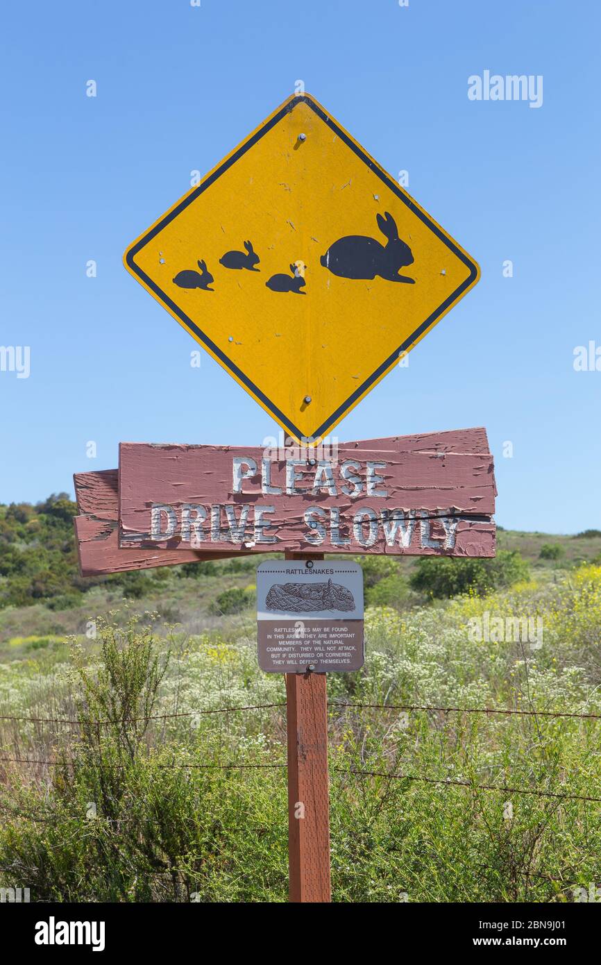 Yellow wildlife warning sign showing adult and baby rabbits crossing ...