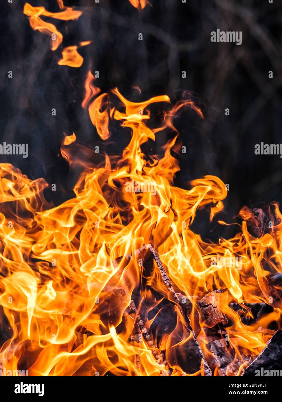 A bright orange flame of fire burns against a dark background. Burning ...