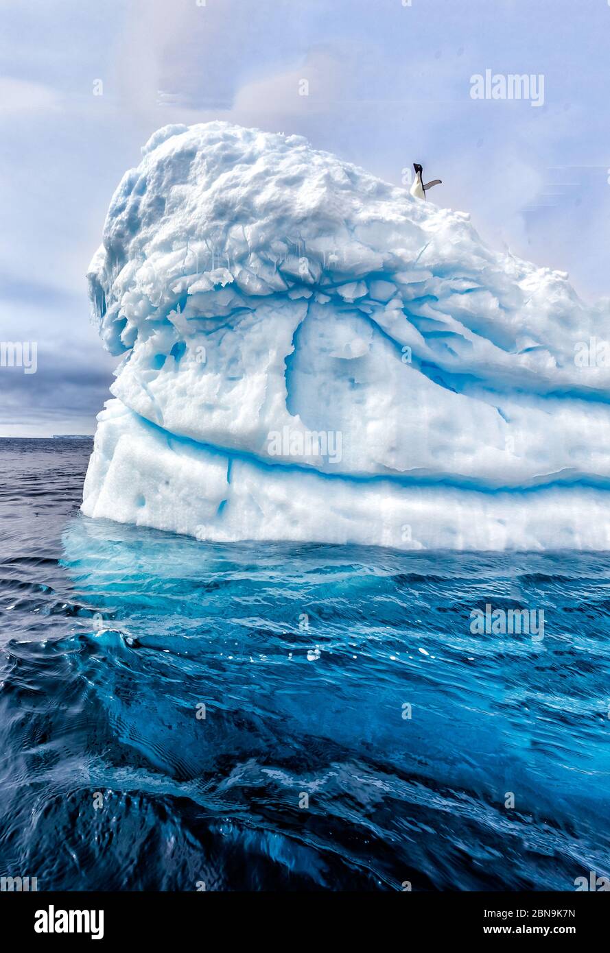 Iceberg off Antarctica with penguin on top Stock Photo - Alamy
