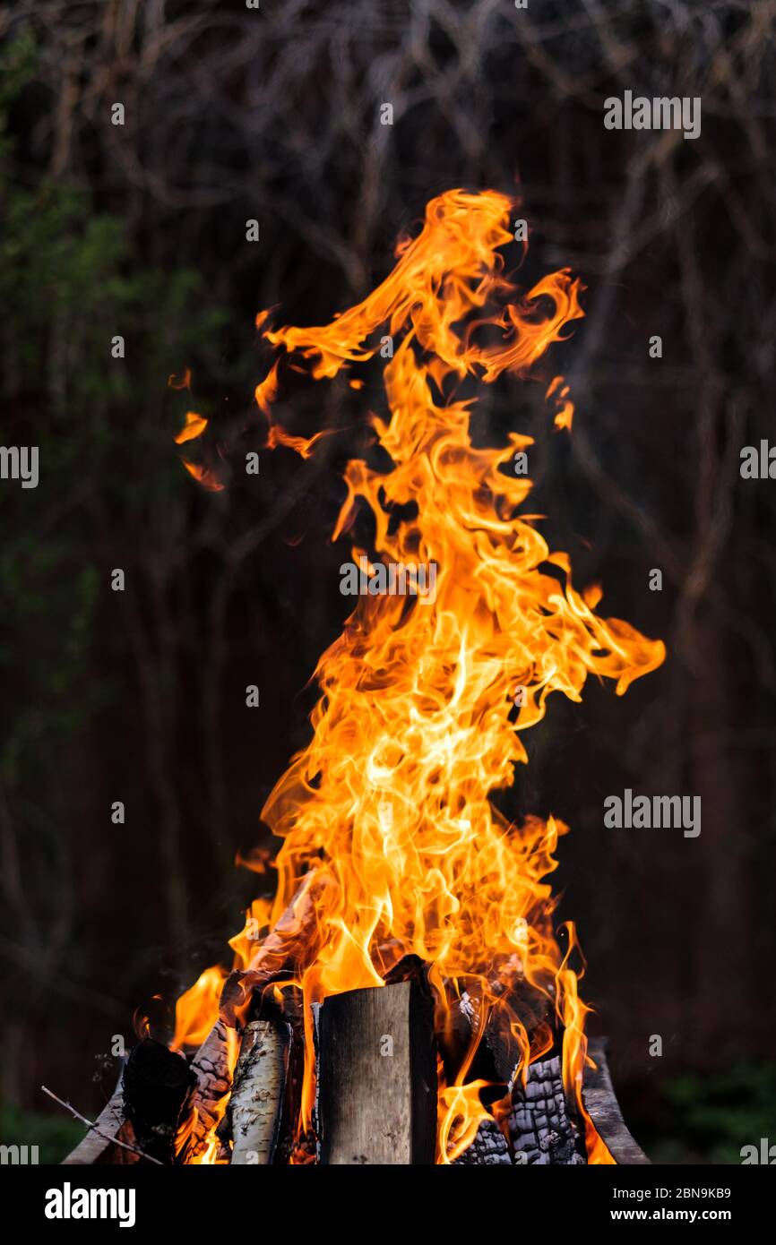 A bright orange flame of fire burns against a dark background. Burning ...