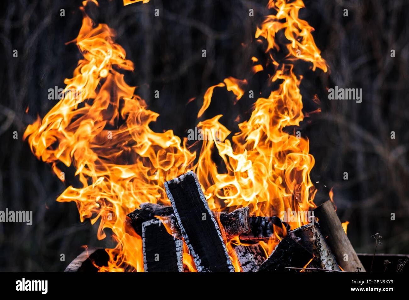 A bright orange flame of fire burns against a dark background. Burning ...