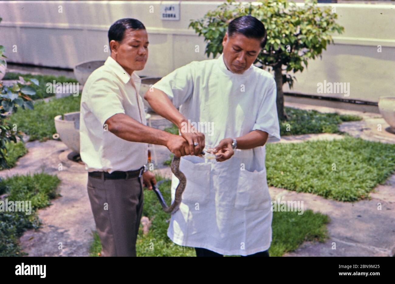 1973 thailand hi-res stock photography and images - Alamy