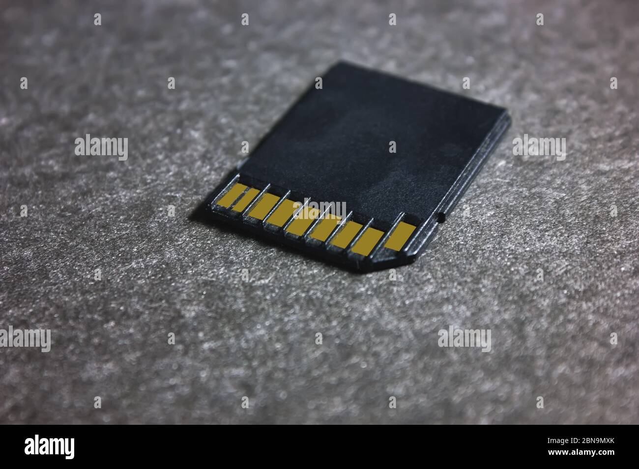 Black SD Memory Card on a grey background close-up Stock Photo - Alamy