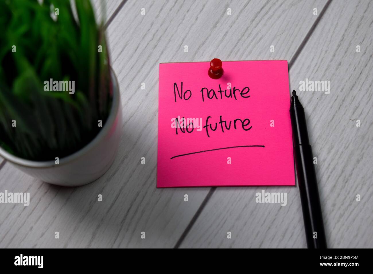 No Nature No Future write on sticky notes isolated on office desk Stock ...