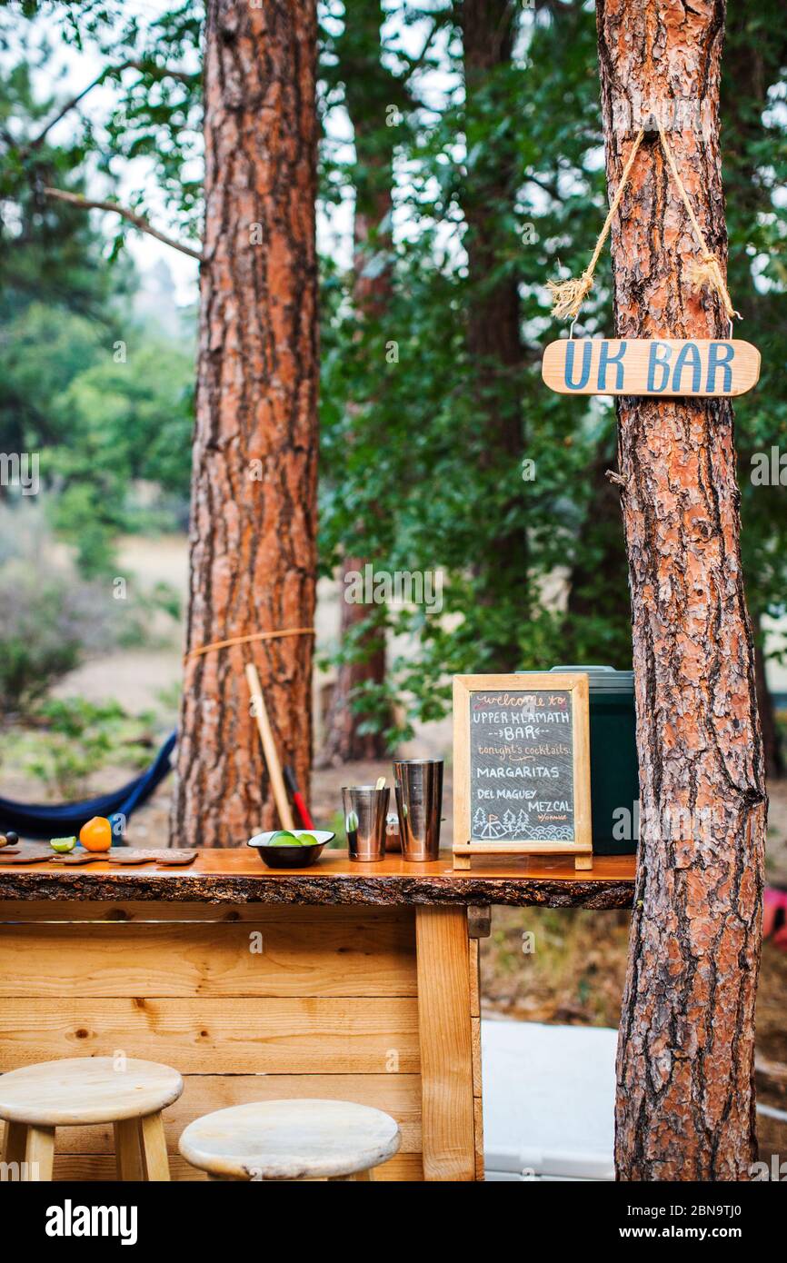 Two ponderosa pine trees hi-res stock photography and images - Alamy