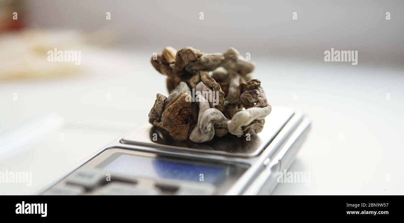 Weighing Mushrooms High Resolution Stock Photography and Images - Alamy
