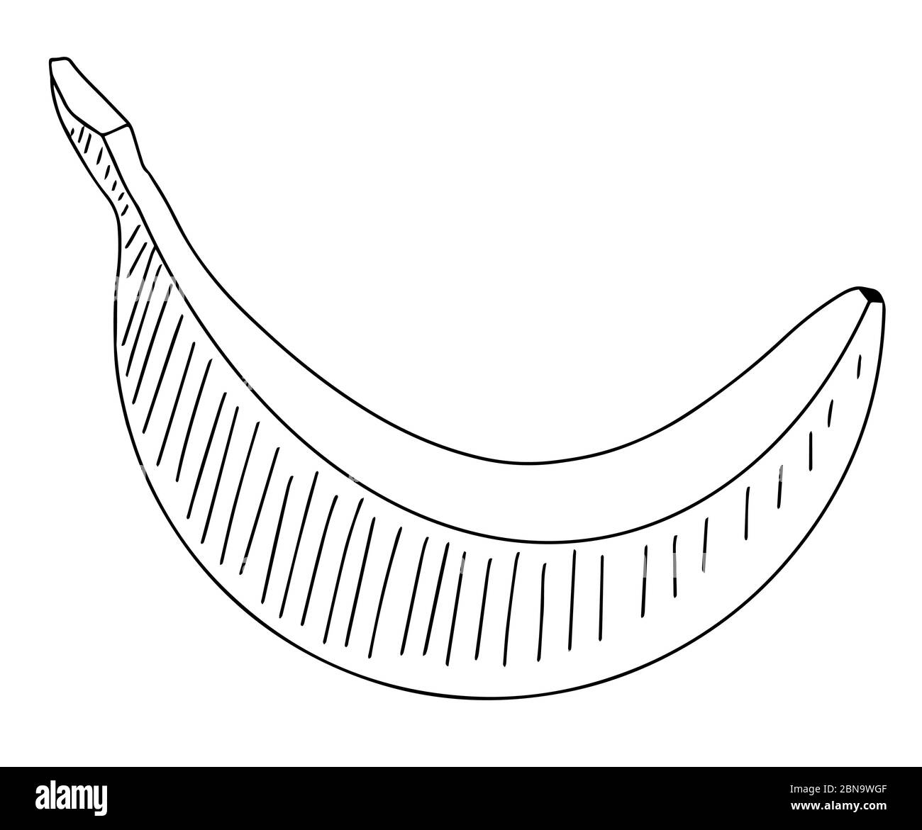 Doodles banana. Hand drawing isolated on a white background vector ...