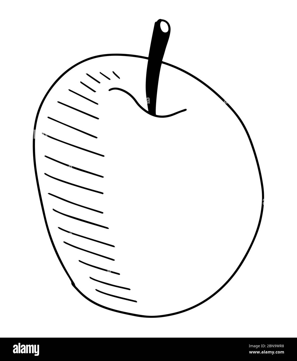Doodles apple. Hand drawing isolated on a white background vector ...
