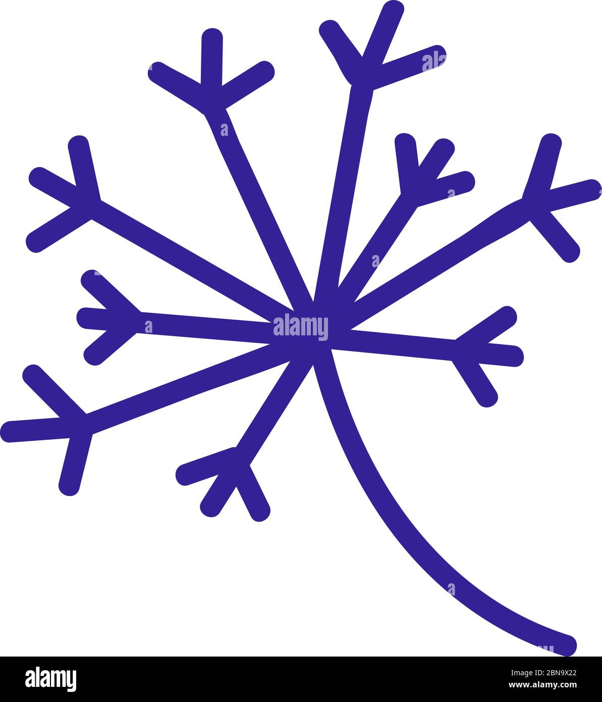 overripe dill inflorescence icon vector outline illustration Stock ...