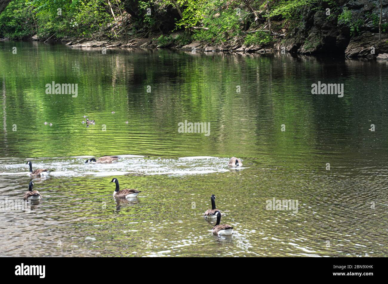 Peaceful settings hi-res stock photography and images - Alamy