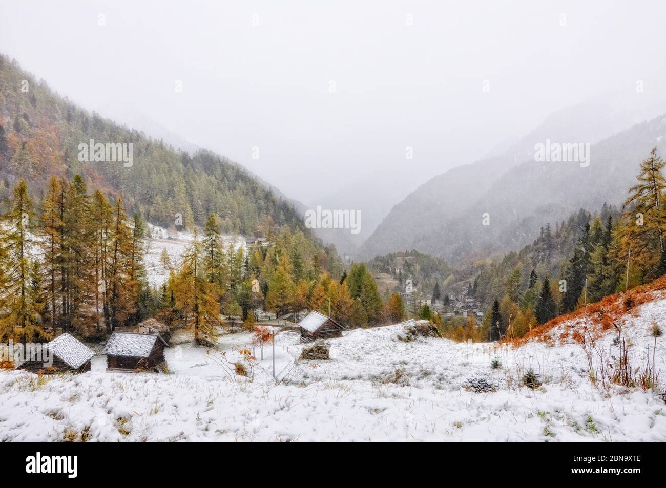 Amazing foggy scene of snowy mountain hillside partially covered with ...
