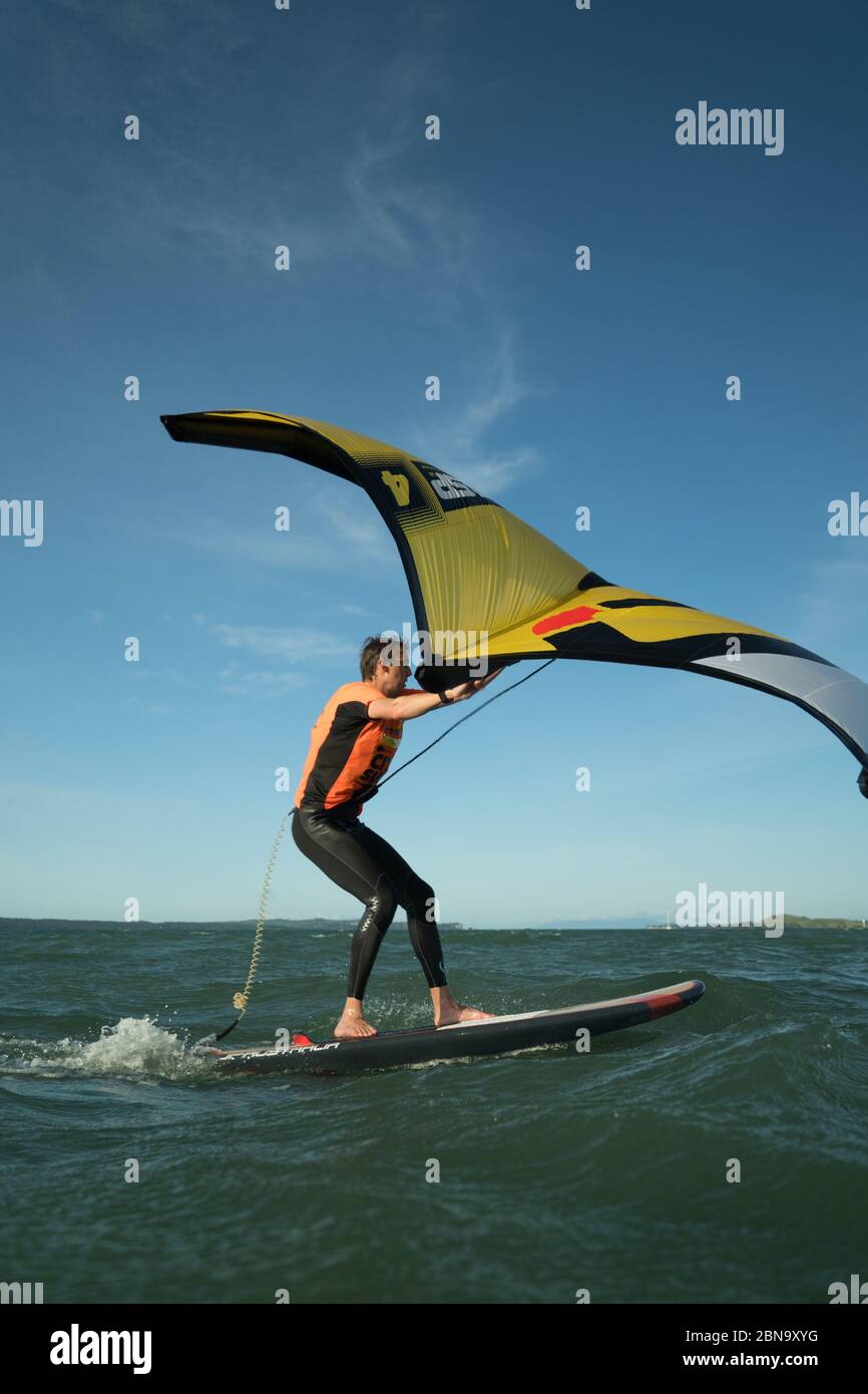 A young man wingfoils in Auckland Harbour on a summer's day, using a ...