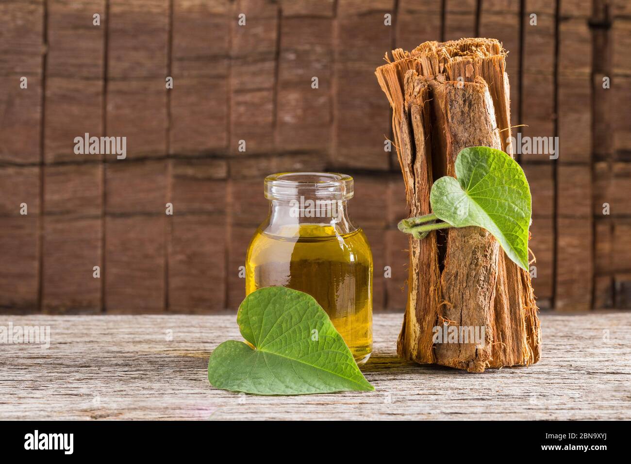 bark and essential extract of medicinal plant cat's claw, uncaria ...