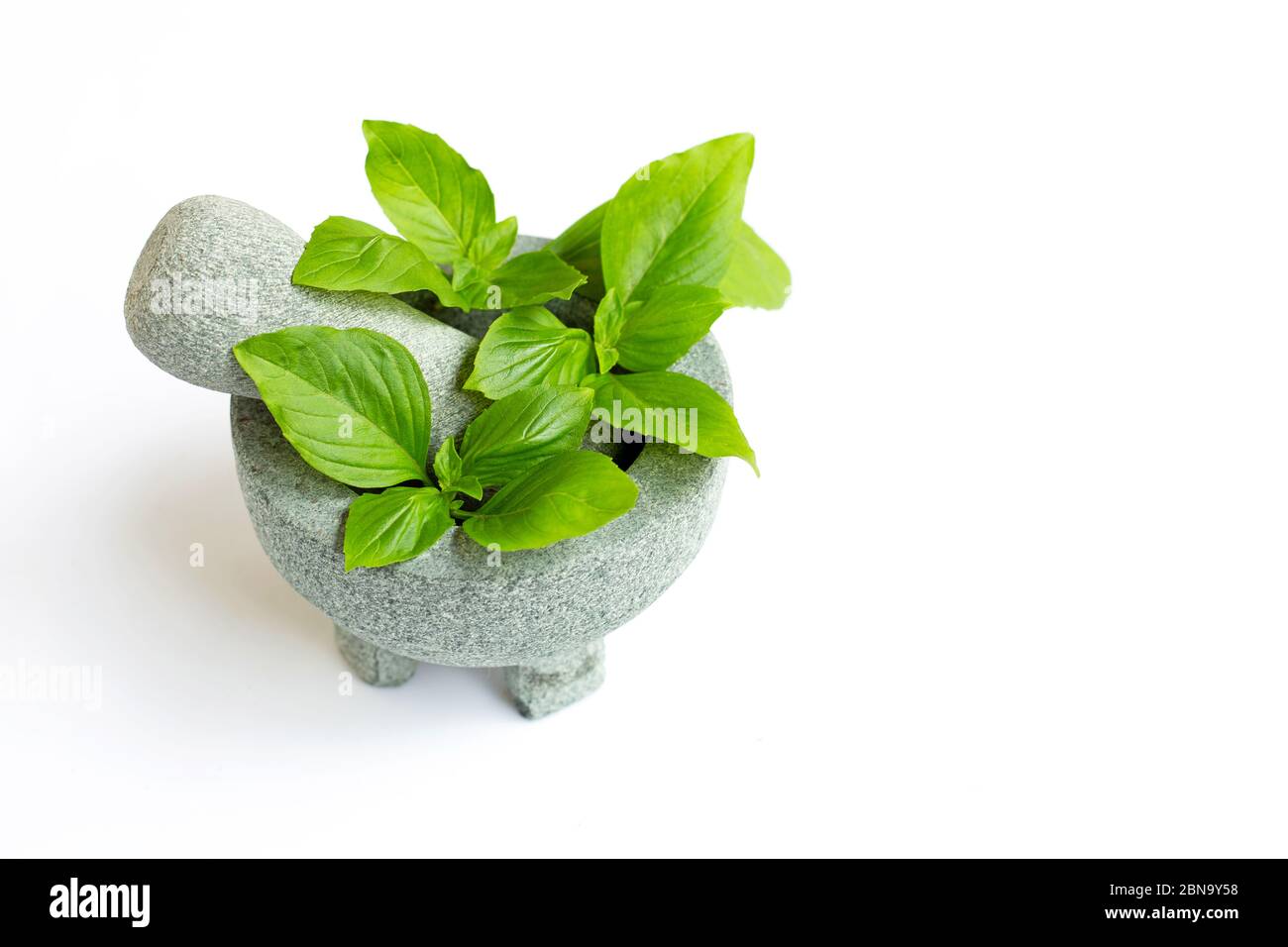 Basil leaves in stone Cut Out Stock Images & Pictures - Alamy