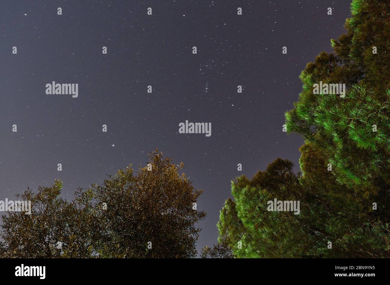 Night sky blue trees mountains hi-res stock photography and images - Alamy