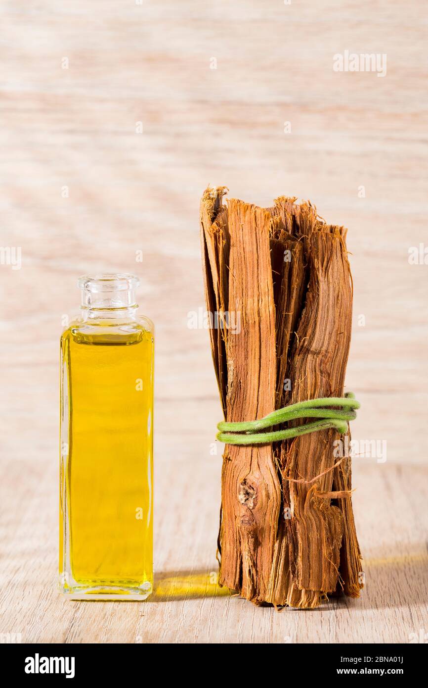 bark and essential extract of medicinal plant cat's claw, uncaria ...