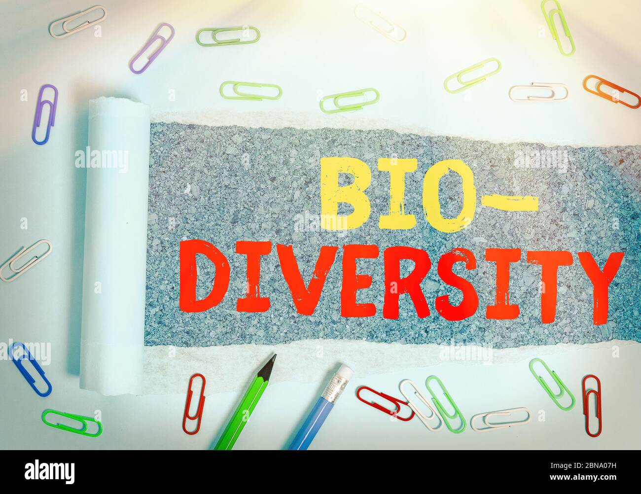 Word writing text Bio Diversity. Business photo showcasing Variety of ...