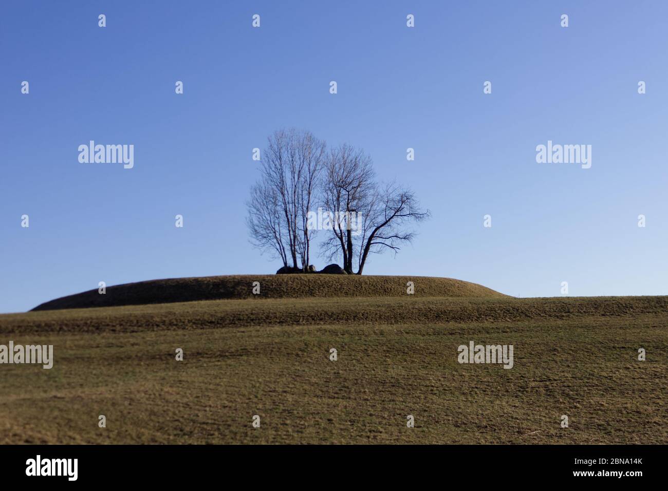 Strange golf hi-res stock photography and images - Alamy