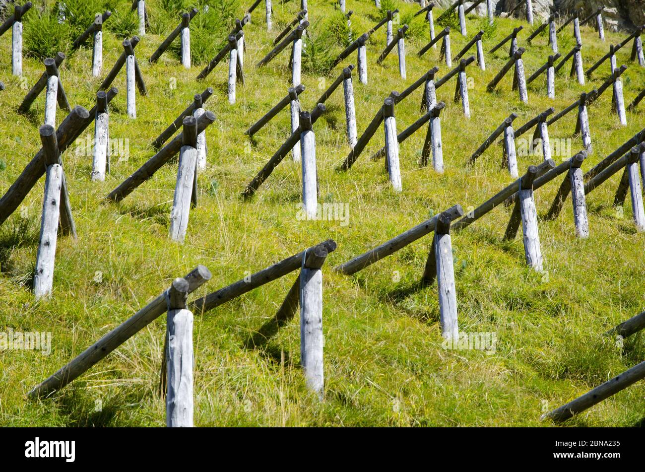 Field of green grass with wooden posts in the shape of a pyramid Stock ...