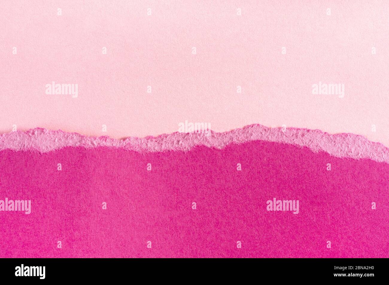 Ripped paper edge with soft shadow. Torn purple background on pink ...