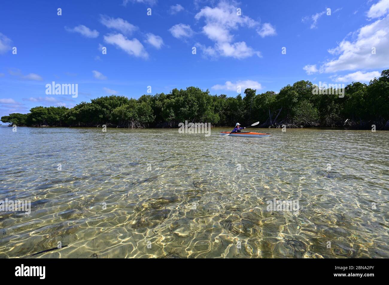 Shallow water bar hi-res stock photography and images - Alamy