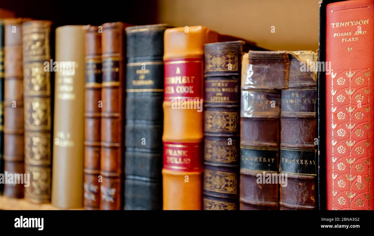 Spectacular water droplets on flowers and leaves Stock Photo - Alamy