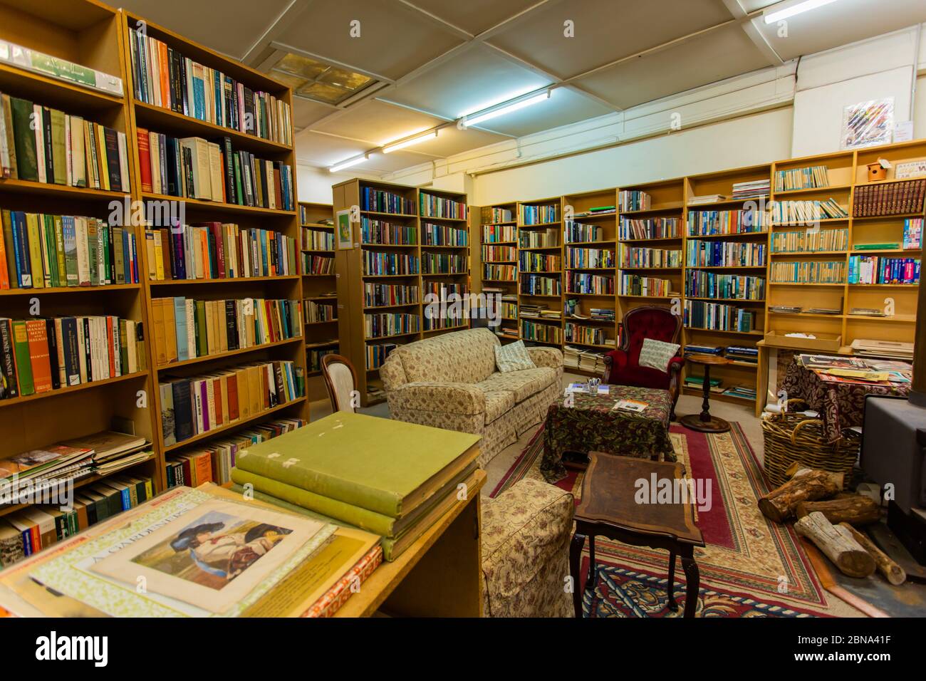 Spectacular water droplets on flowers and leaves Stock Photo - Alamy