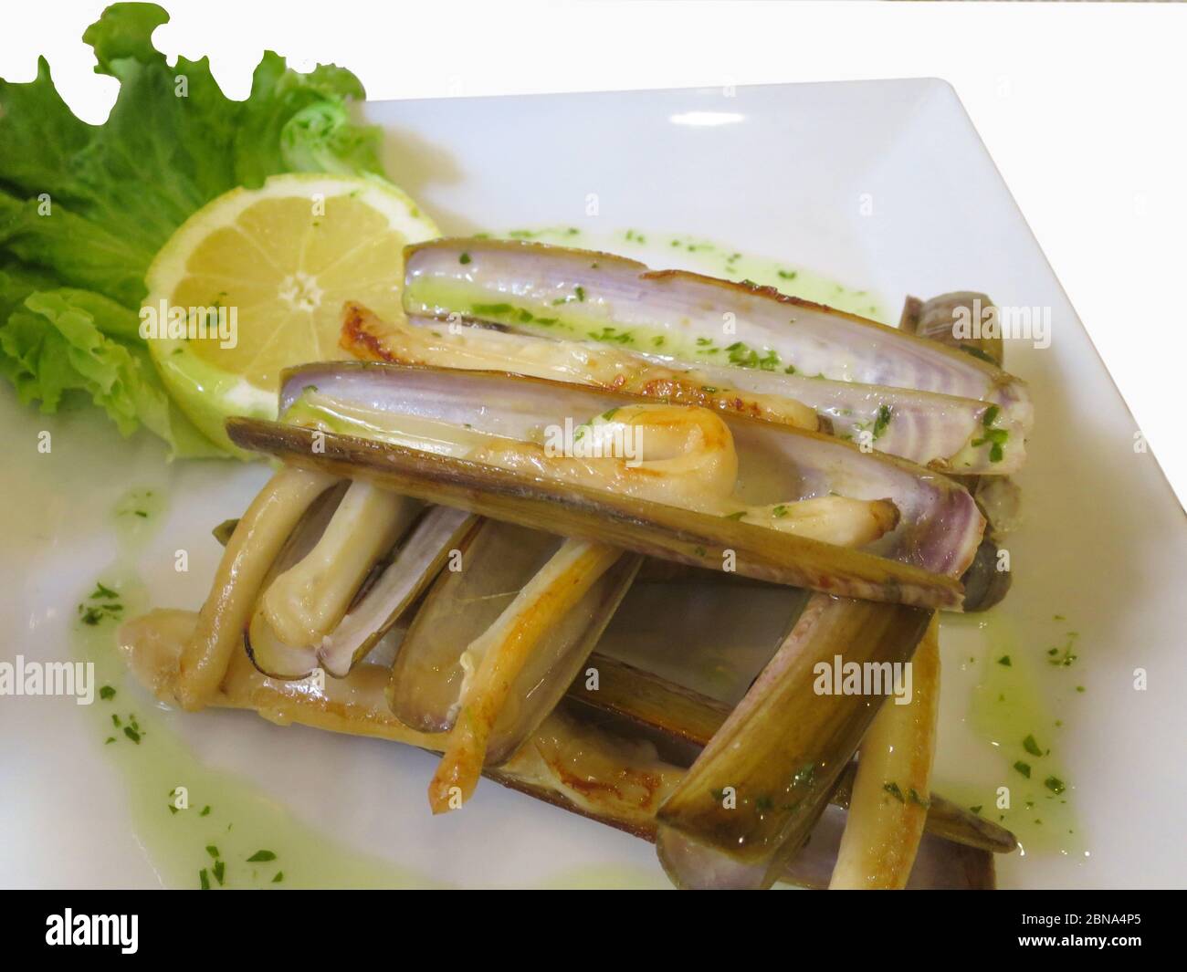 plate of razor shellfish Stock Photo - Alamy