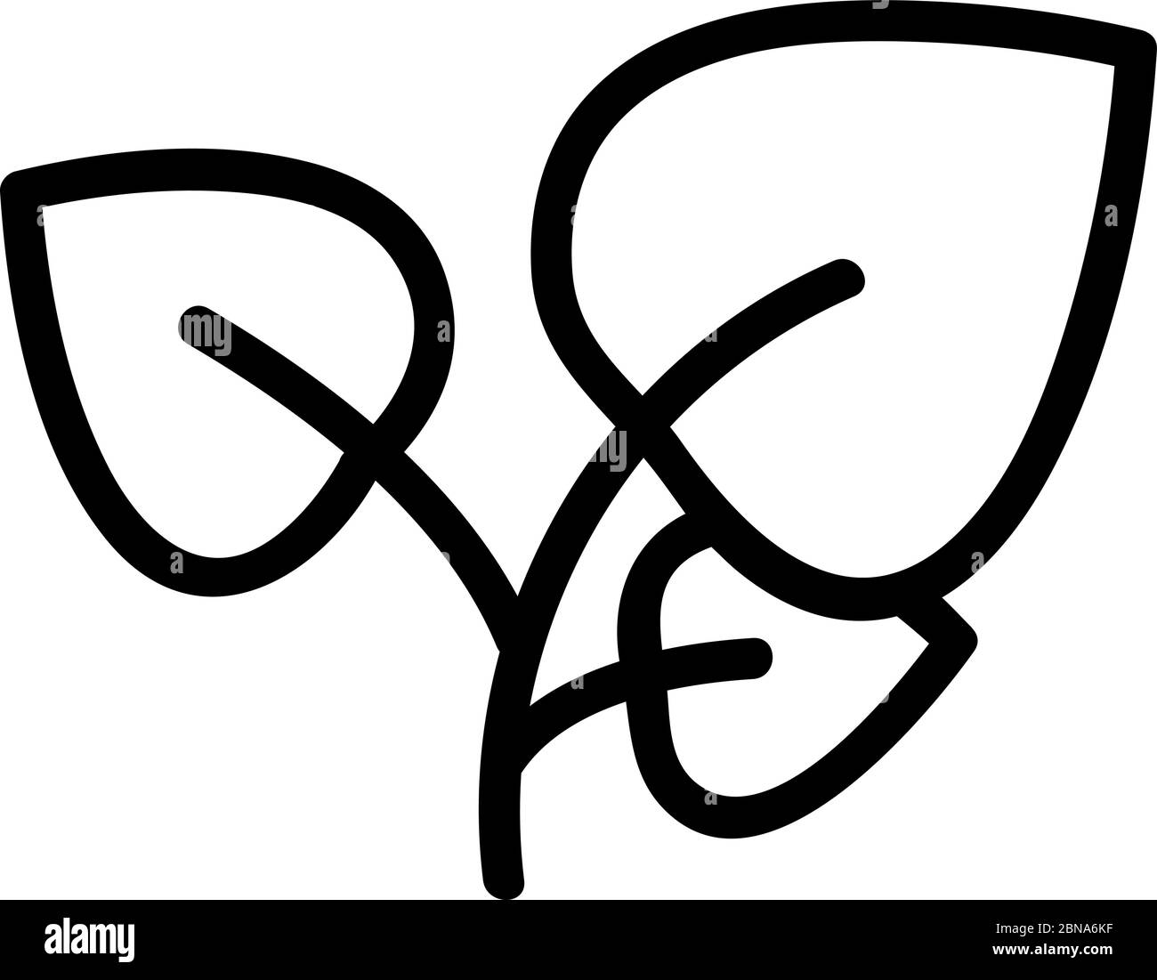 leaves rich in essential oils and vitamins of oregano icon vector ...