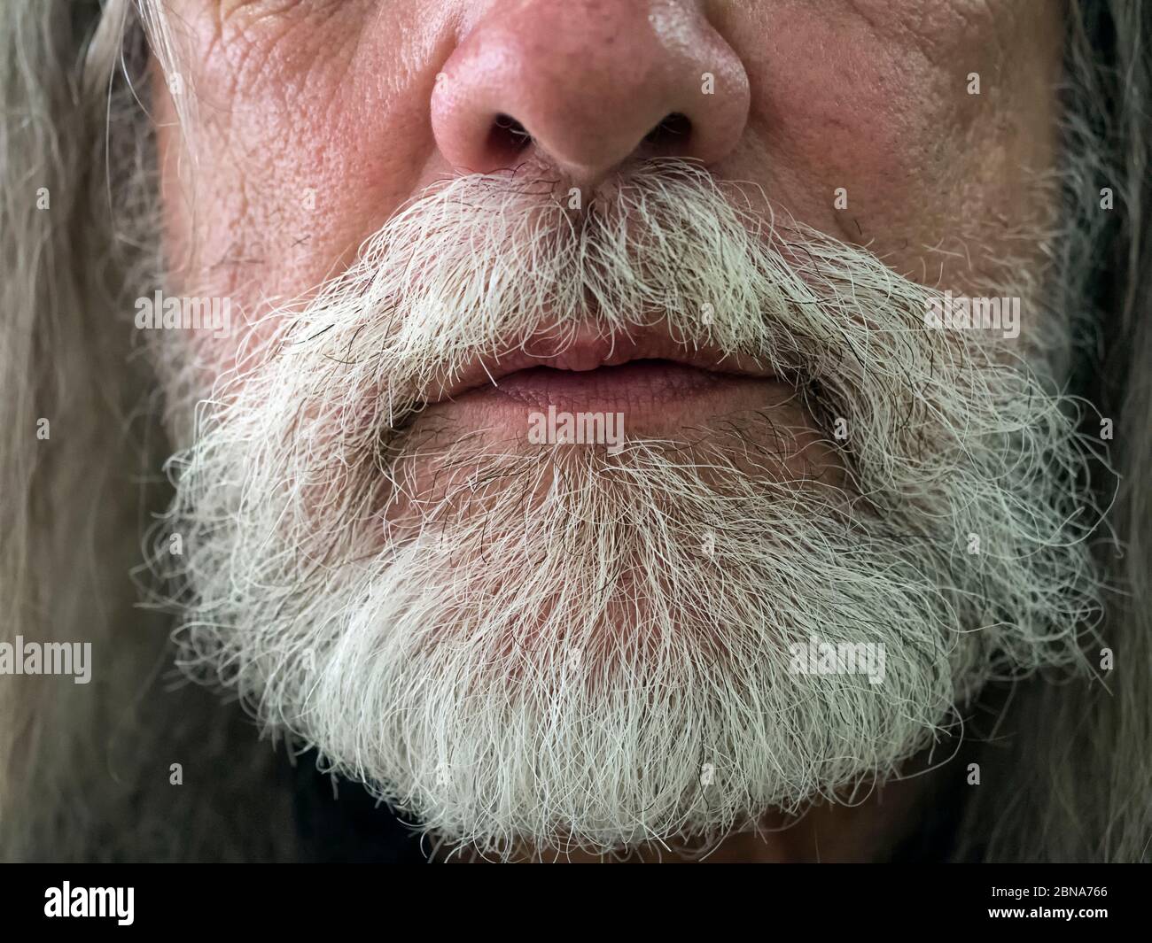 Moustache close up hi-res stock photography and images - Alamy