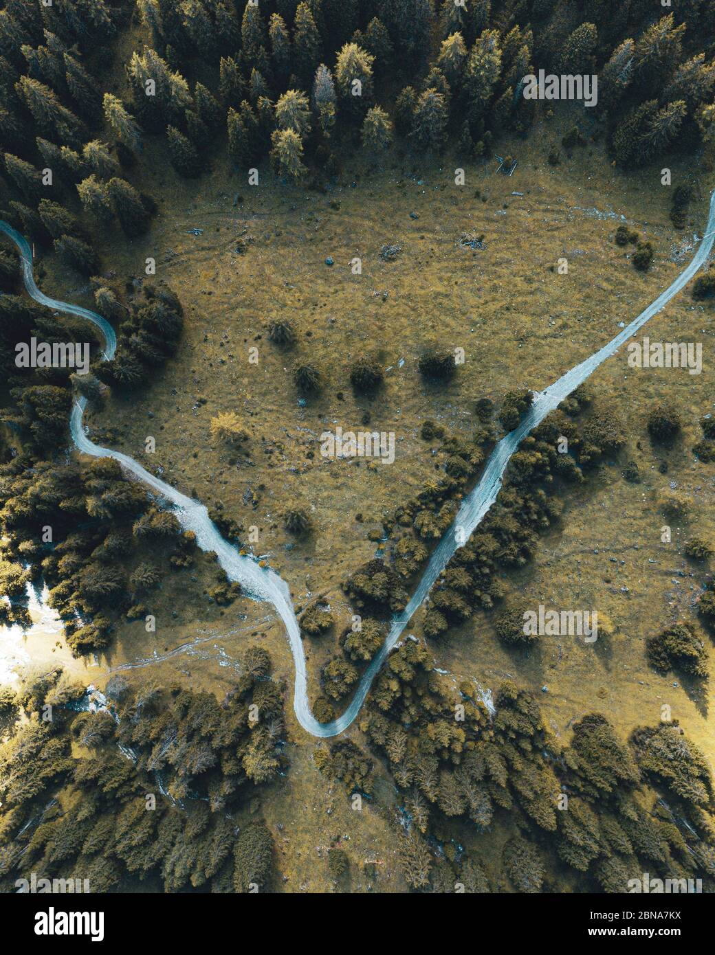 Bird-eye picture of V-shaped road and a forest Stock Photo - Alamy