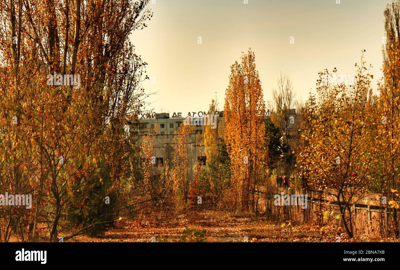 Chernobyl 1986 trees hi-res stock photography and images - Alamy
