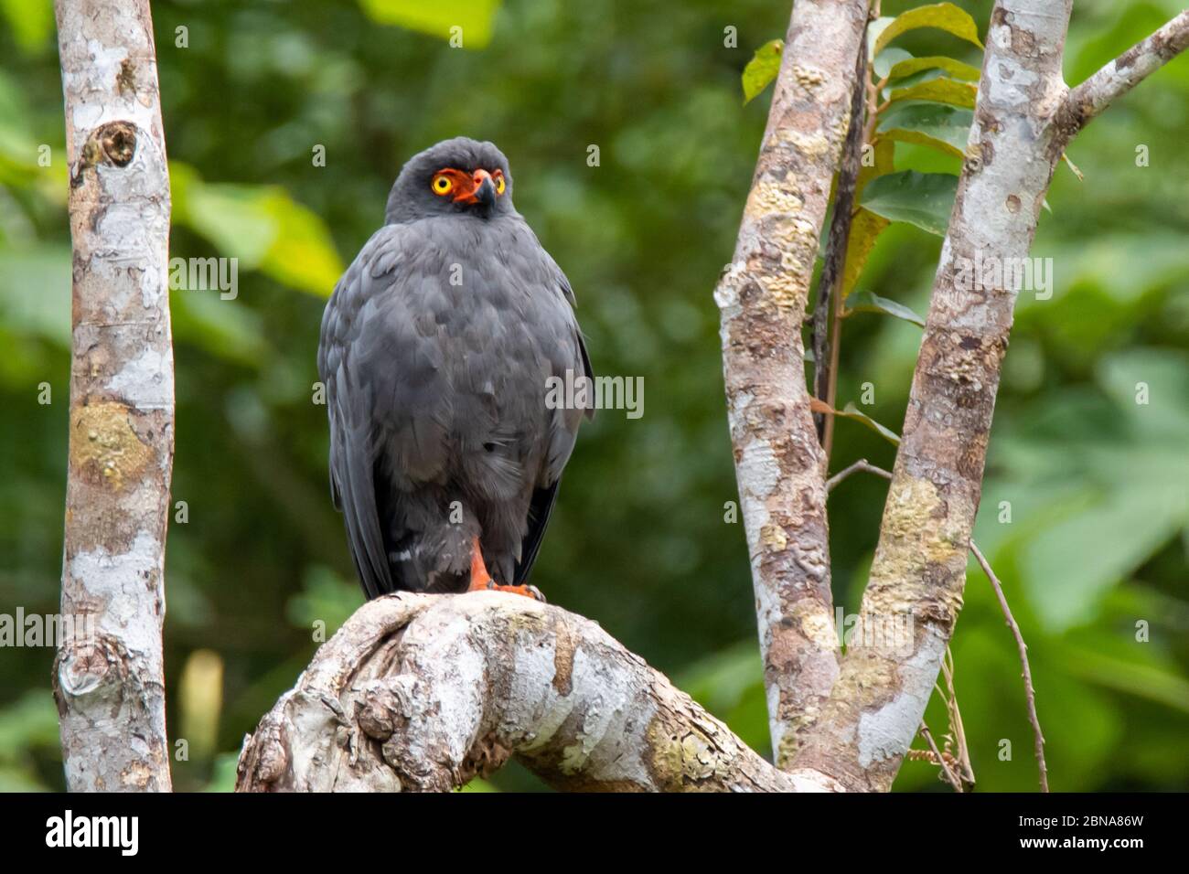 Slate basin hi-res stock photography and images - Alamy