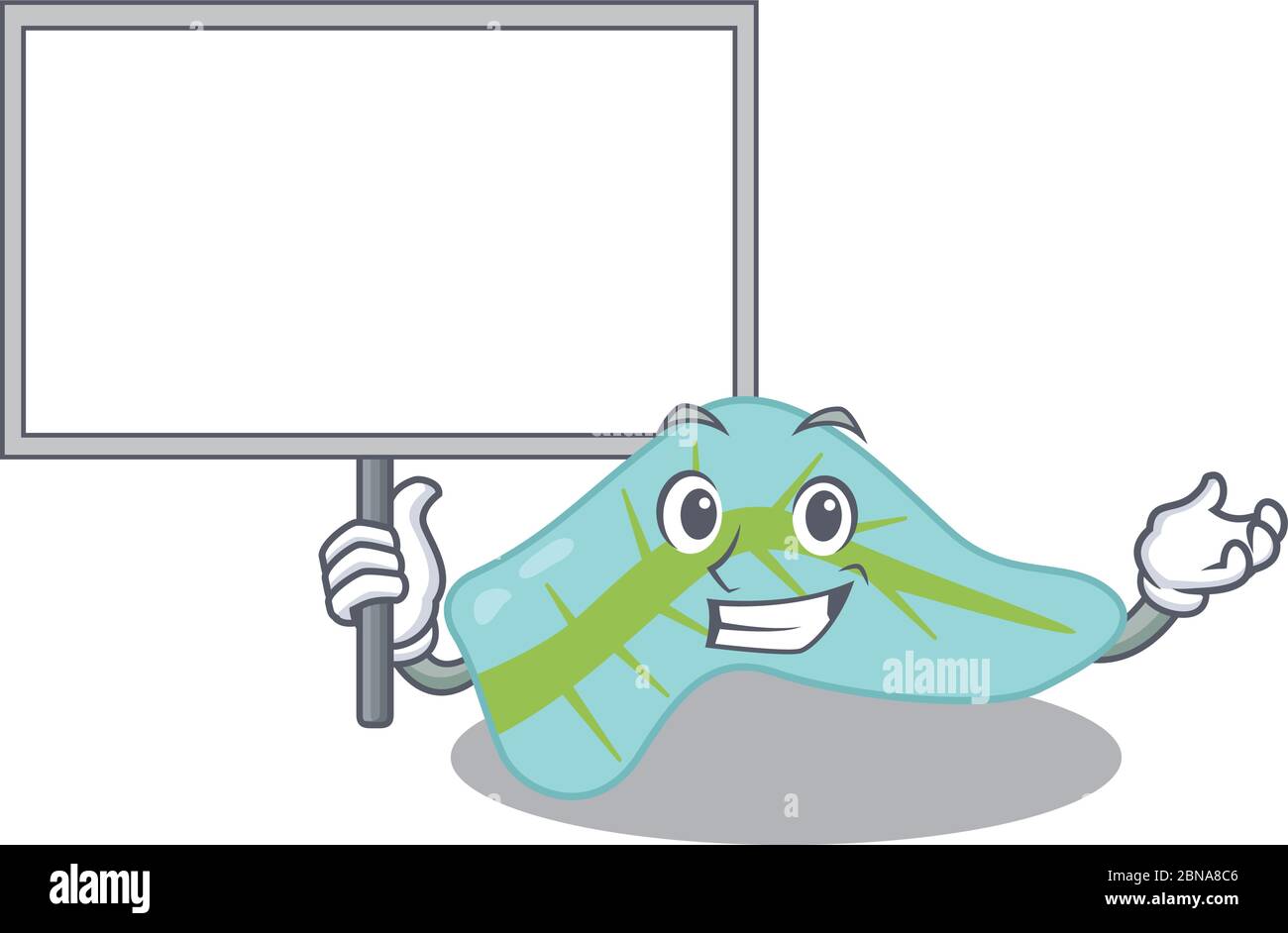 Cartoon picture of pancreas mascot design style carries a board Stock ...
