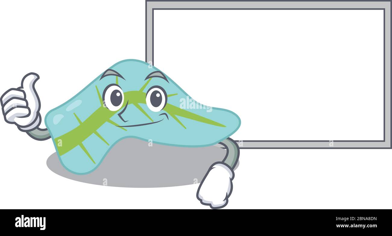 Pancreas cartoon design with Thumbs up finger bring a white board Stock ...