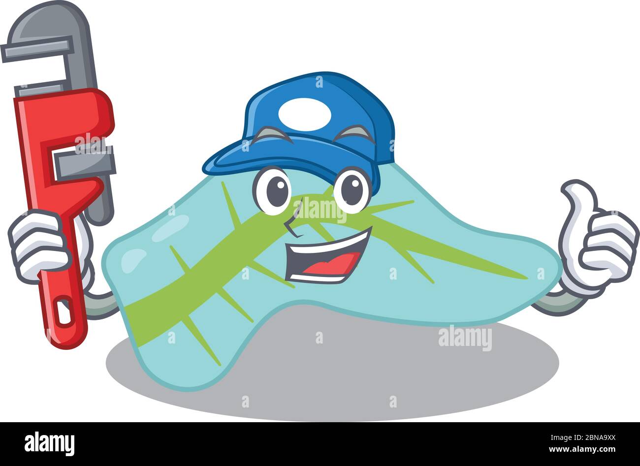 Islets of langerhans pancreas hi-res stock photography and images - Alamy