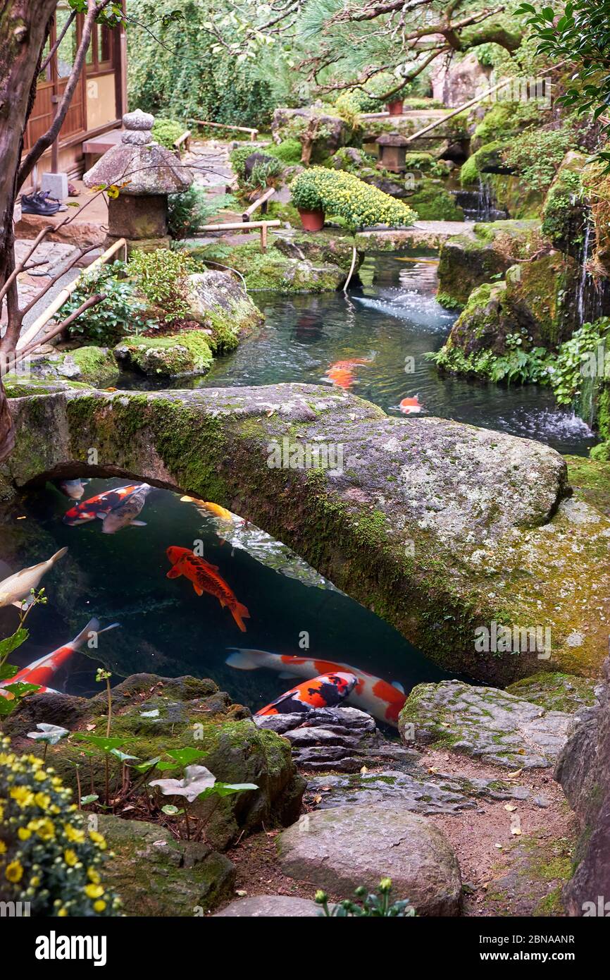 Japanese Koi Pond Bridge