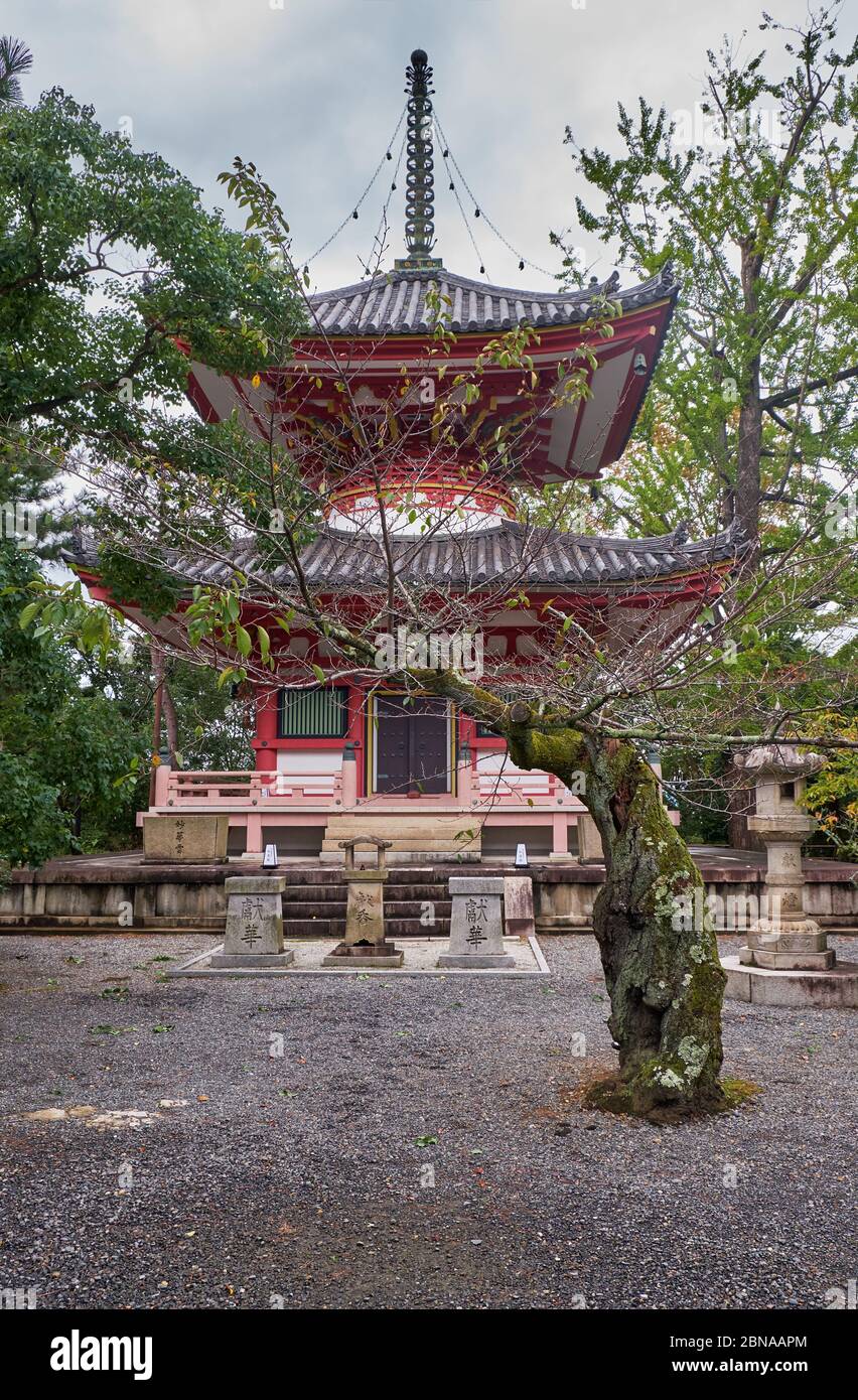 The view of the Tahoto (Many-jewelled pagoda) with the old twisted ...