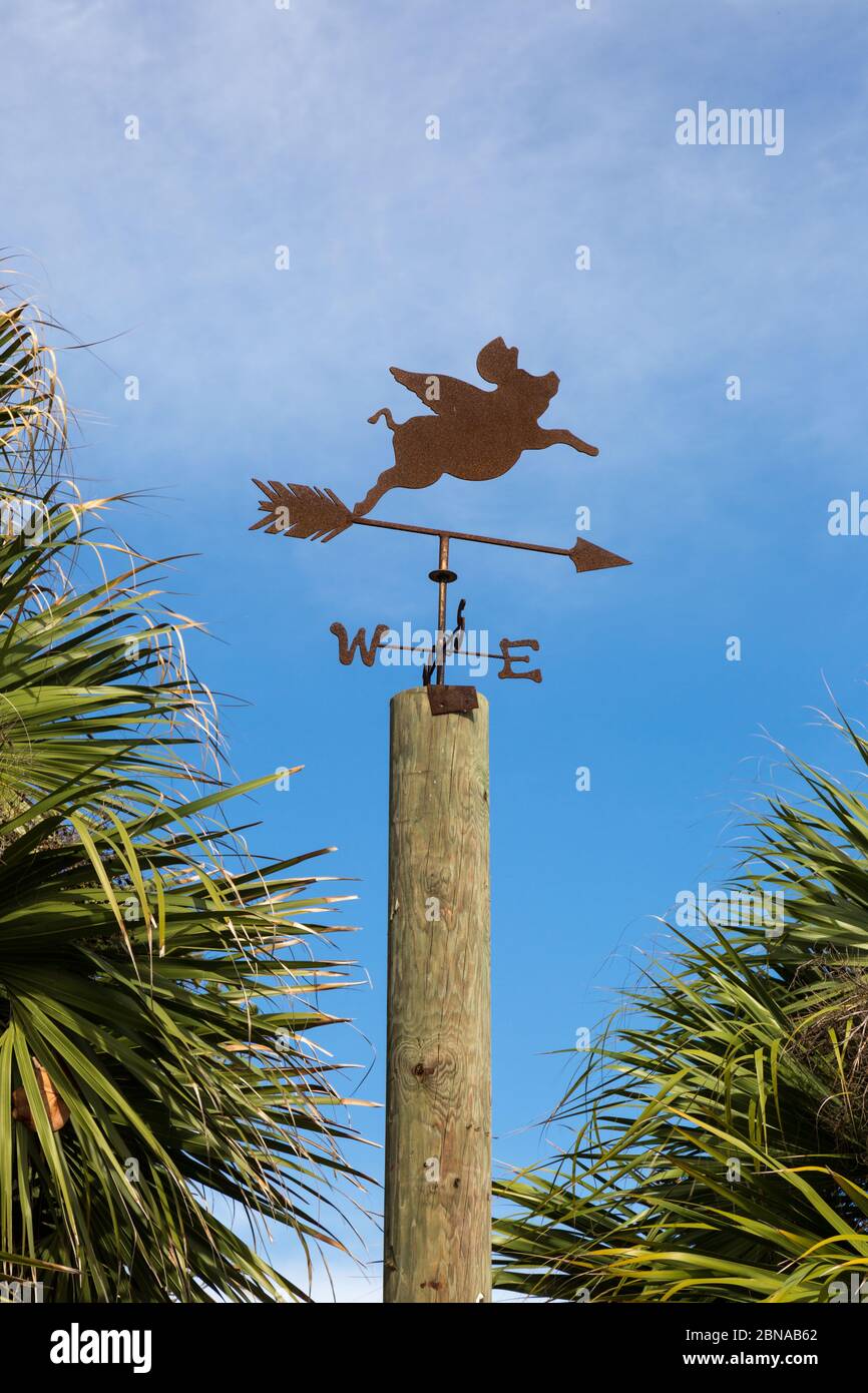 "When Pigs Fly" weather vane at Archie's Seabreeze Restaurant in Fort ...