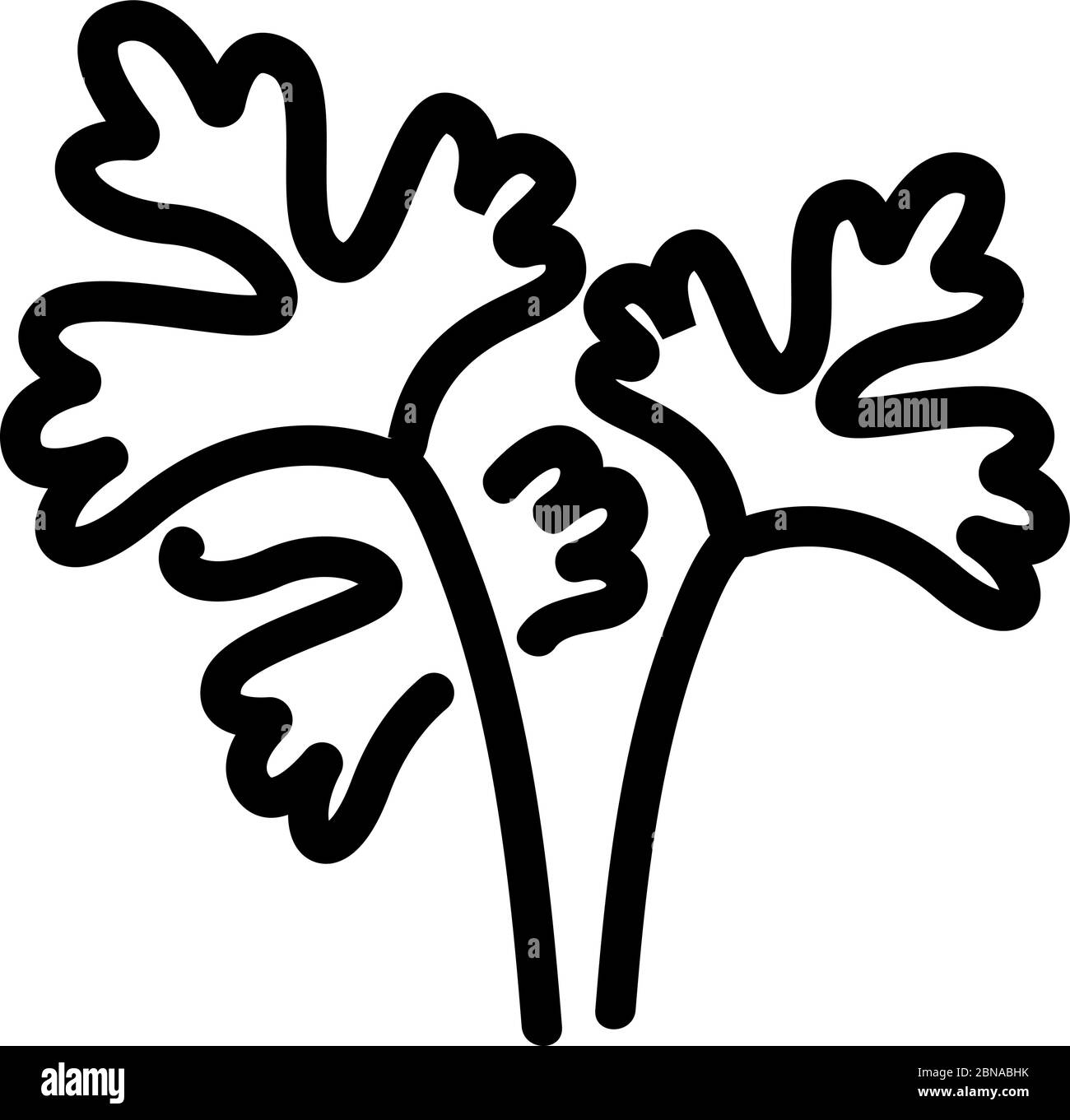 coriander seedling leaves icon vector outline illustration Stock Vector ...