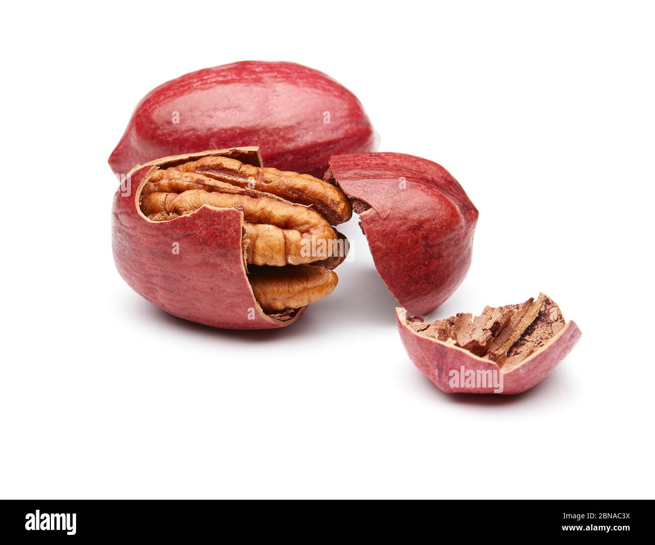 Pecan Isolated on White Background Stock Photo - Alamy