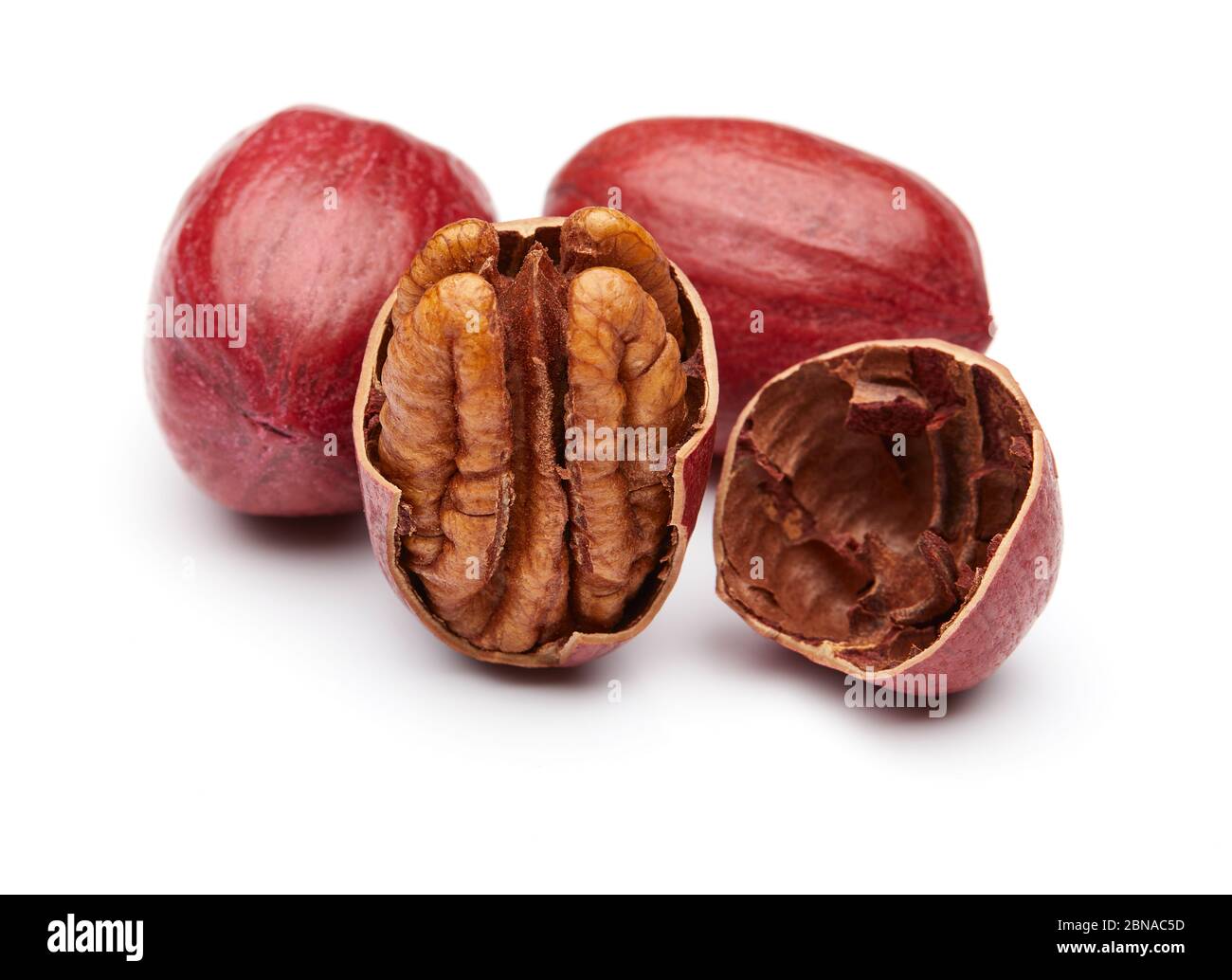 Pecan Isolated on White Background Stock Photo - Alamy
