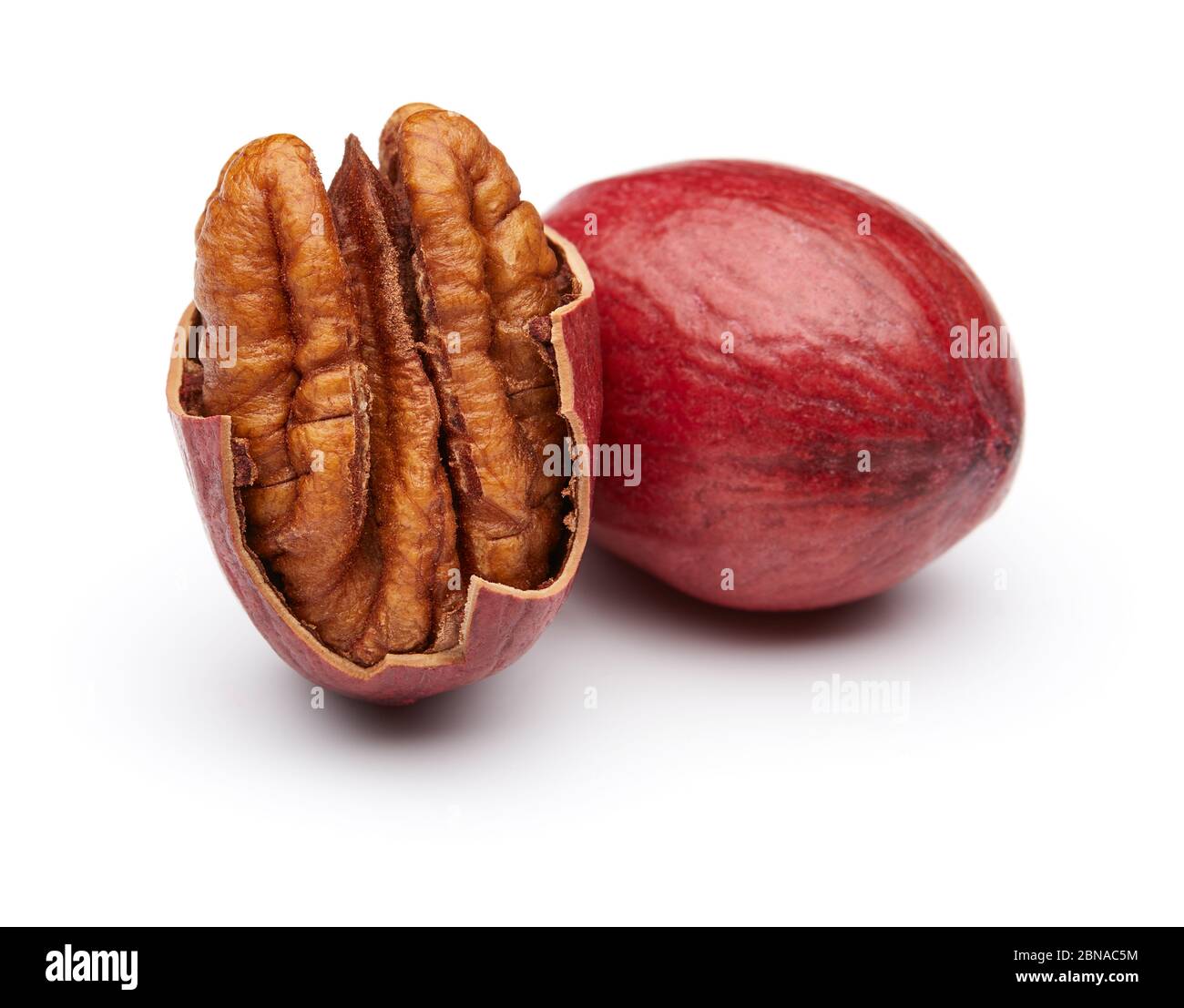 Pecan Isolated on White Background Stock Photo - Alamy